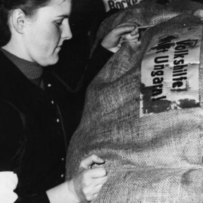 Team – Volkshilfe Österreich